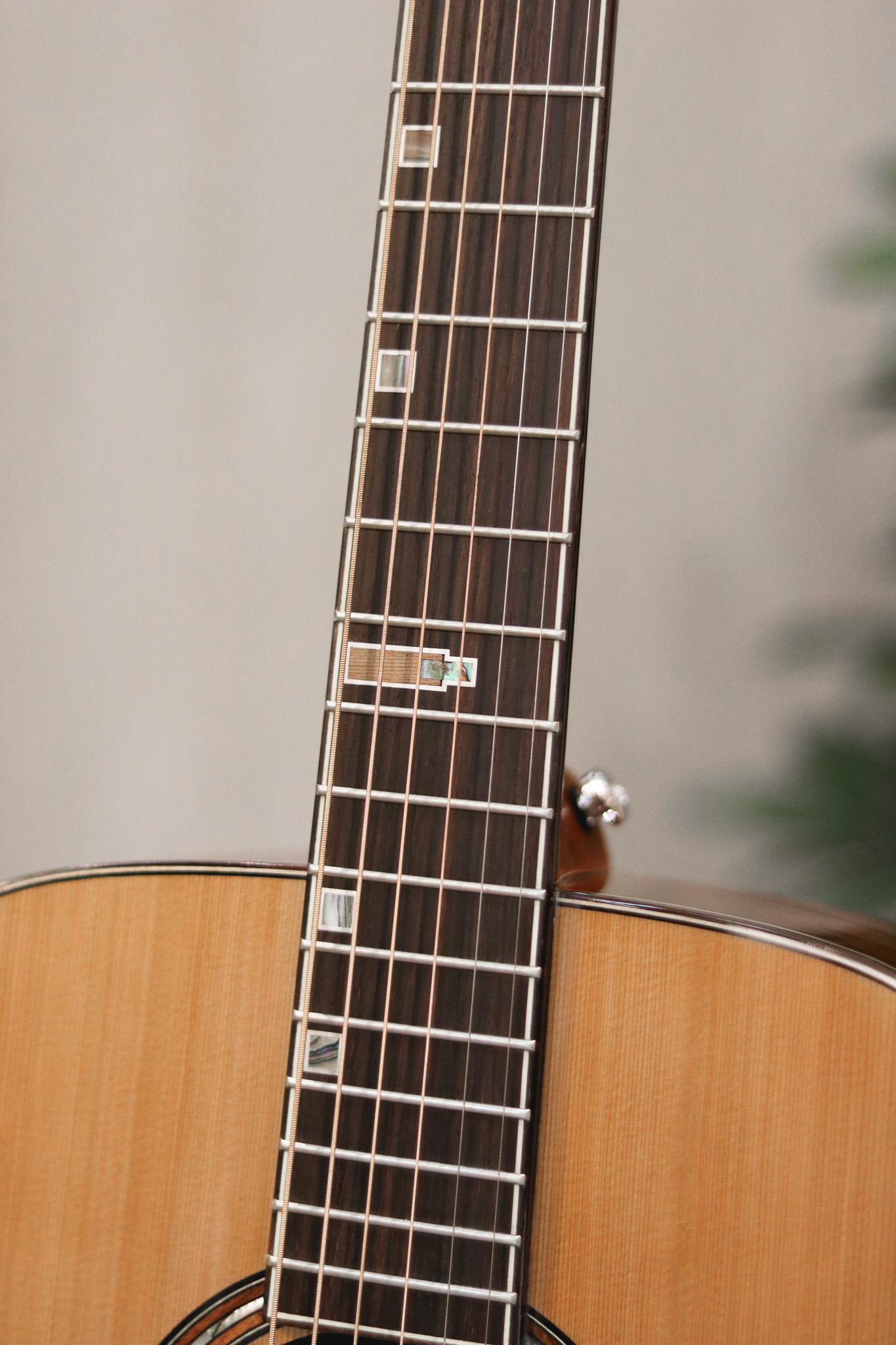 Fonzo V-201C OM Full Body - Western guitar uden pickup - Allround Musik